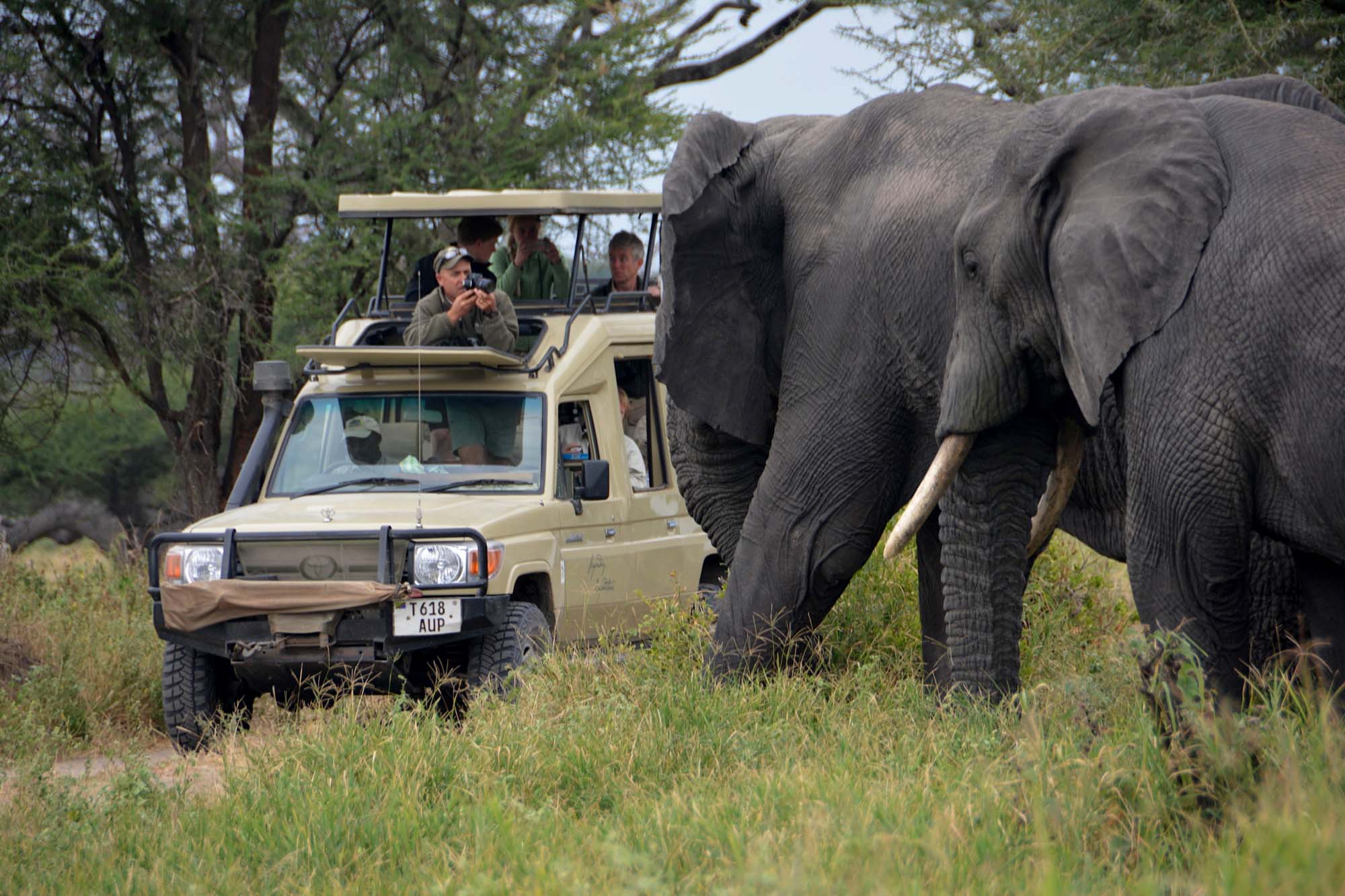 Ascent Automotive Group - The Friedkin Group